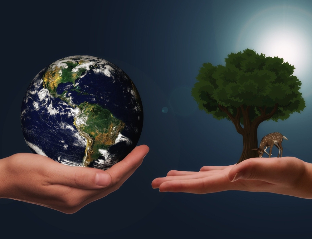 Inventos con productos reciclados - Reciclaje y gestión medioambiental